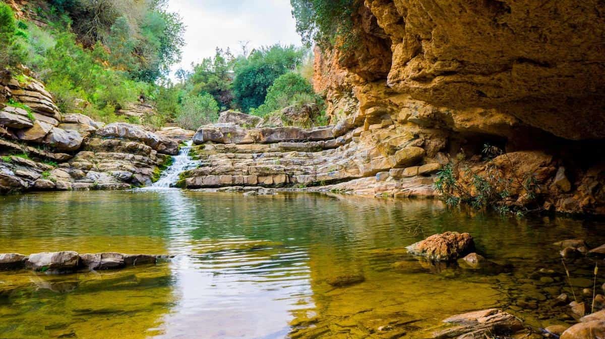 Day Trip to Ourika Valley: Discover Berber Culture from Marrakech